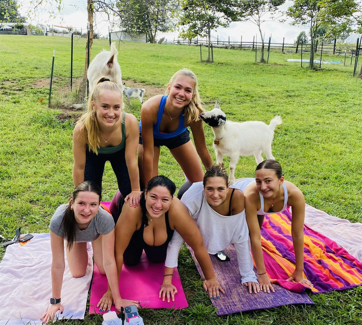 Goat Yoga Halloween! at Little Goat Farm at the Lake, Nokesville on ...
