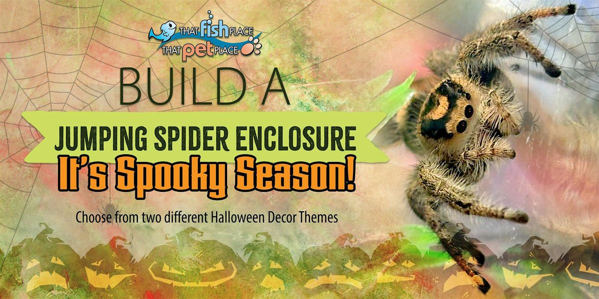 Build a Jumping Spider Enclosure - Spooky Season! at That Fish Place ...