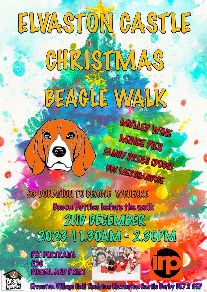 elvaston-castle-christmas-beagle-elvaston-village-hall-derby-en